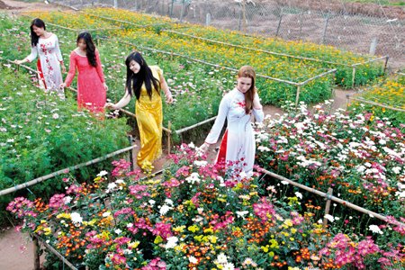 Vietnam Seasons: weather, climate and humidity | Paradise Travel