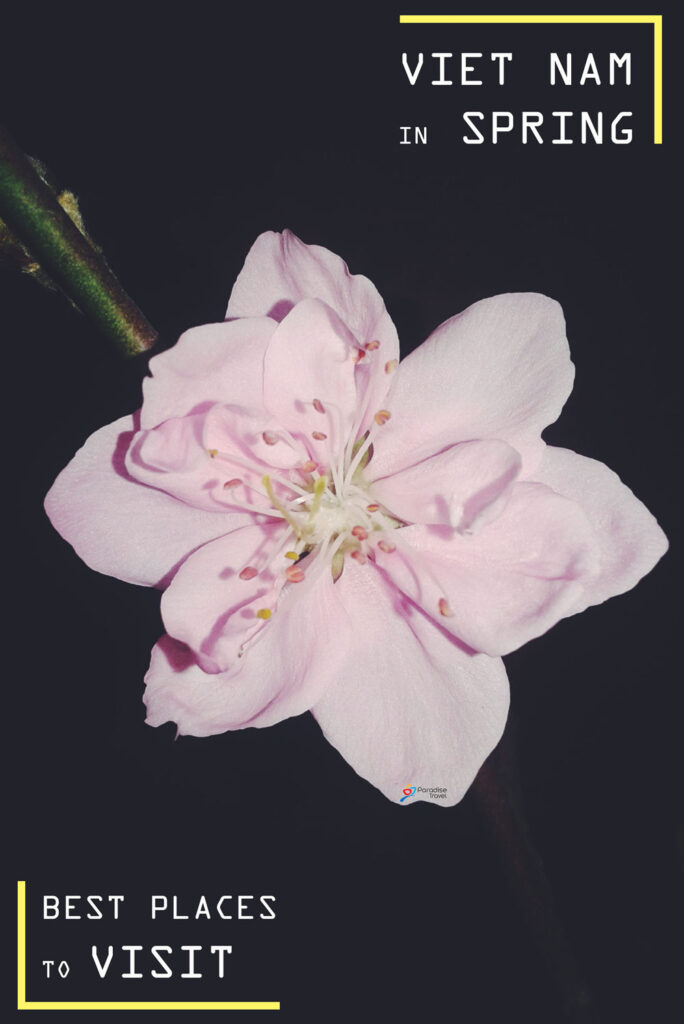 Travel to Vietnam in Spring 2025: Weather, best places to visit