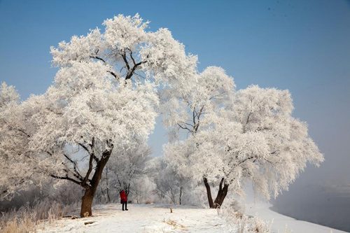 Best Places to Visit in China in Winter 2023 - 2024