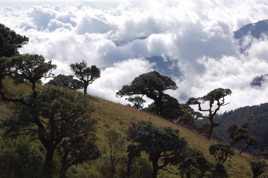 Top 7 Destinations for Trekking in Myanmar - Paradise Travel