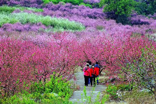 Best Places to Visit in China in Spring 2023 - Paradise Travel