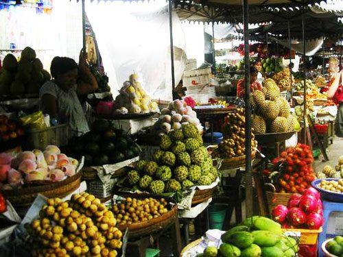 Mango Cruises - 2D1N - Ben Tre - An Hoa – Sa Dec